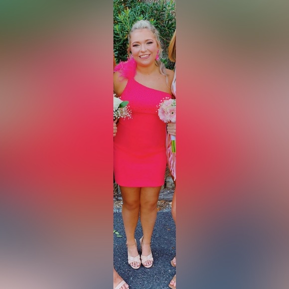 Dresses | Ashley Lauren Hoco Dress | Poshmark